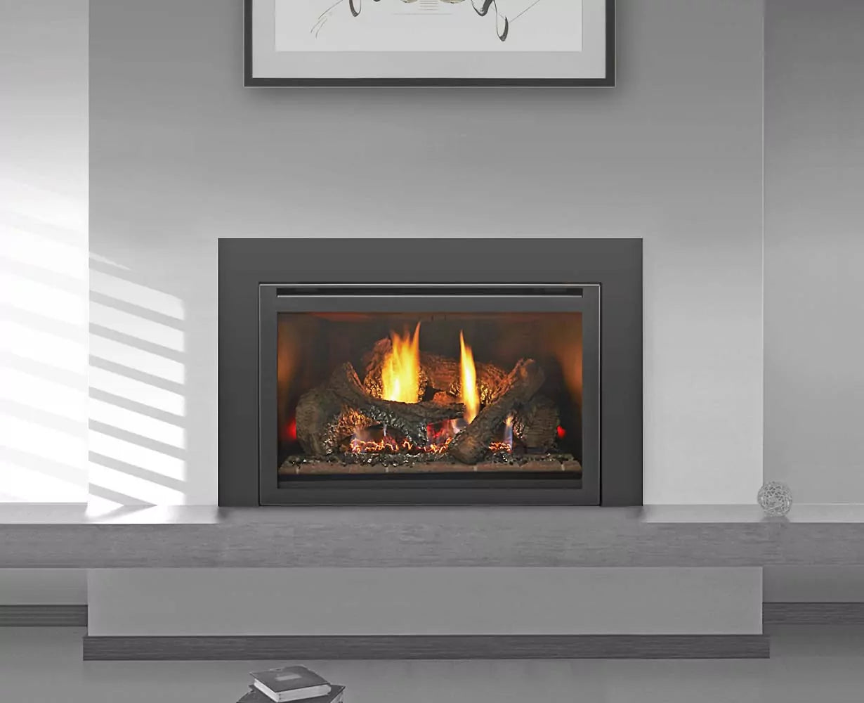 Heat And Glo I-30X Inbuilt LPG Fireplace Must Add Front – BBQ and ...